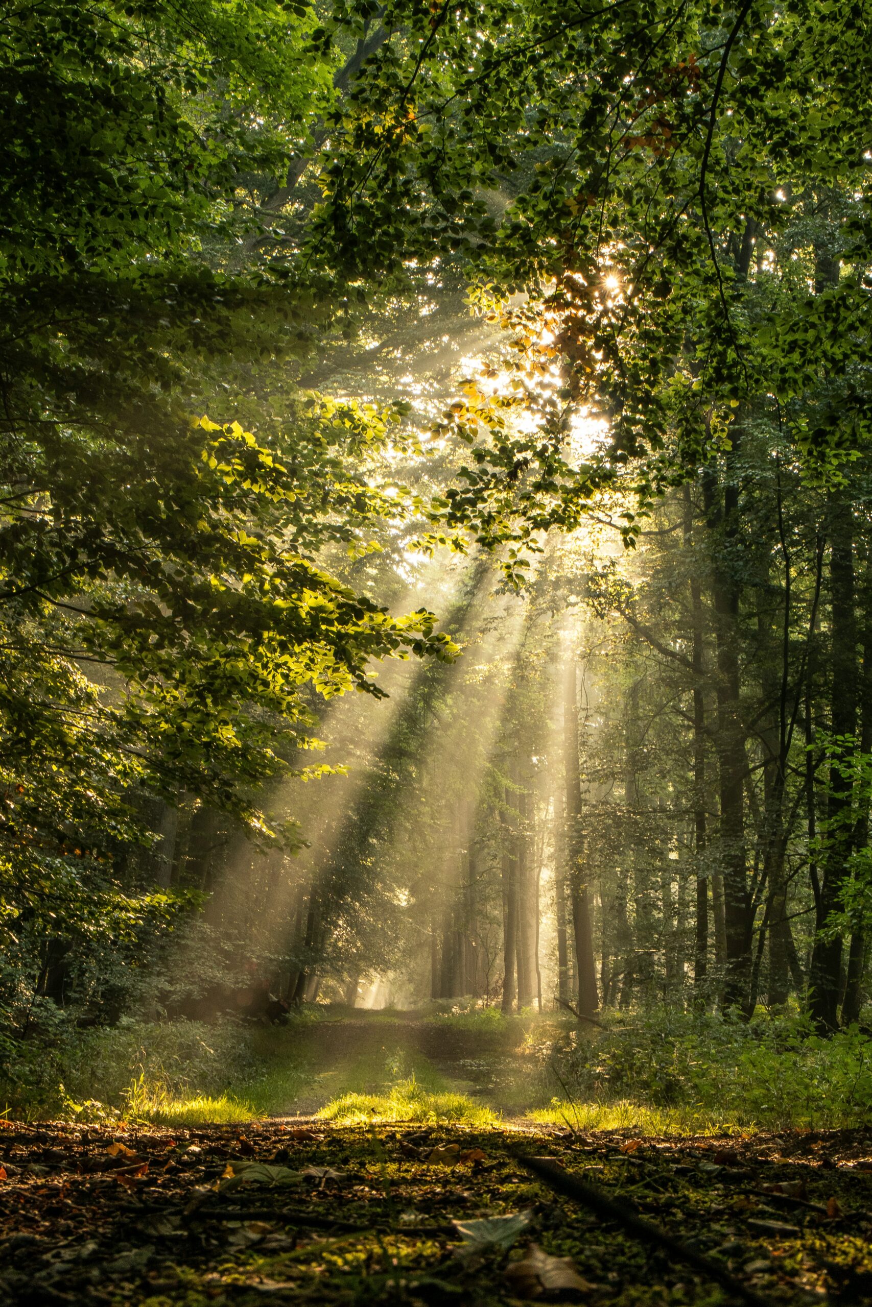 Defining—and Demystifying—Discipleship - Cedar: The Center for ...